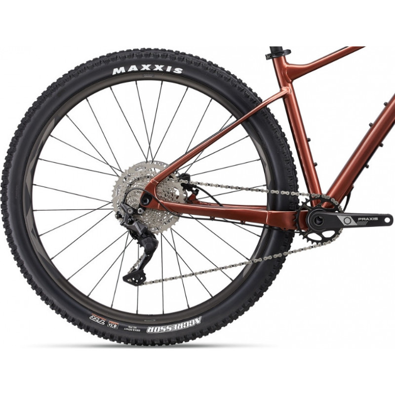 Giant fathom 29 2 2024 terakota