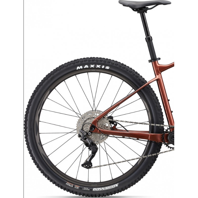 Giant fathom 29 2 2024 terakota