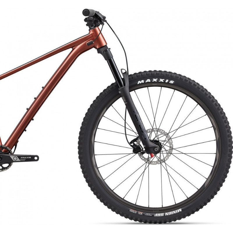 Giant fathom 29 2 2024 terakota