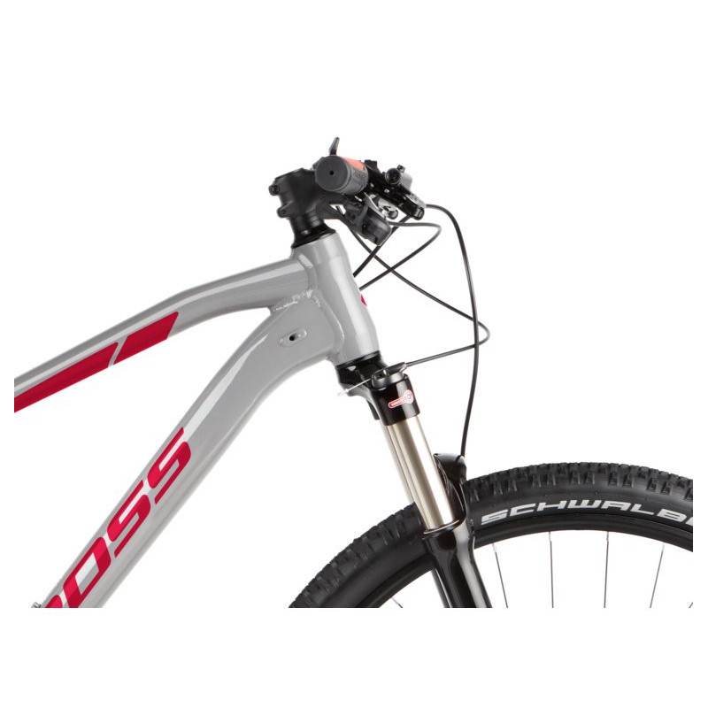 Kross Level 4.0 2024 Szary - Czerwony