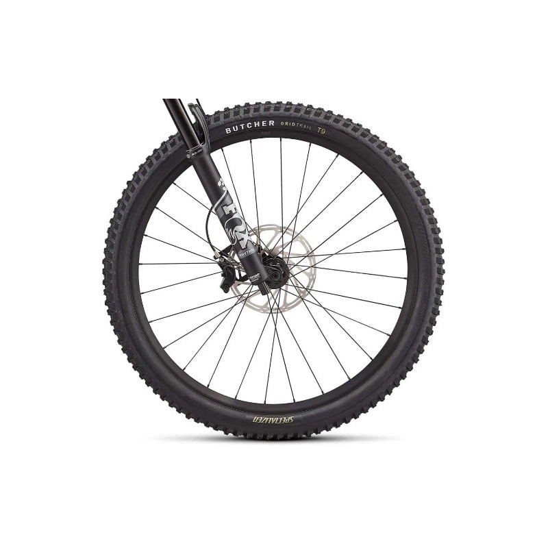 Specialized status 140