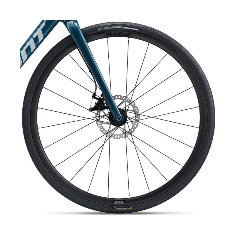 Giant contend ar 2 2024