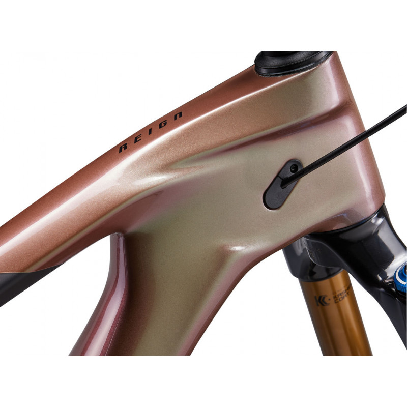 Giant Reign Advanced Pro 0 Messier/Carbon 2023