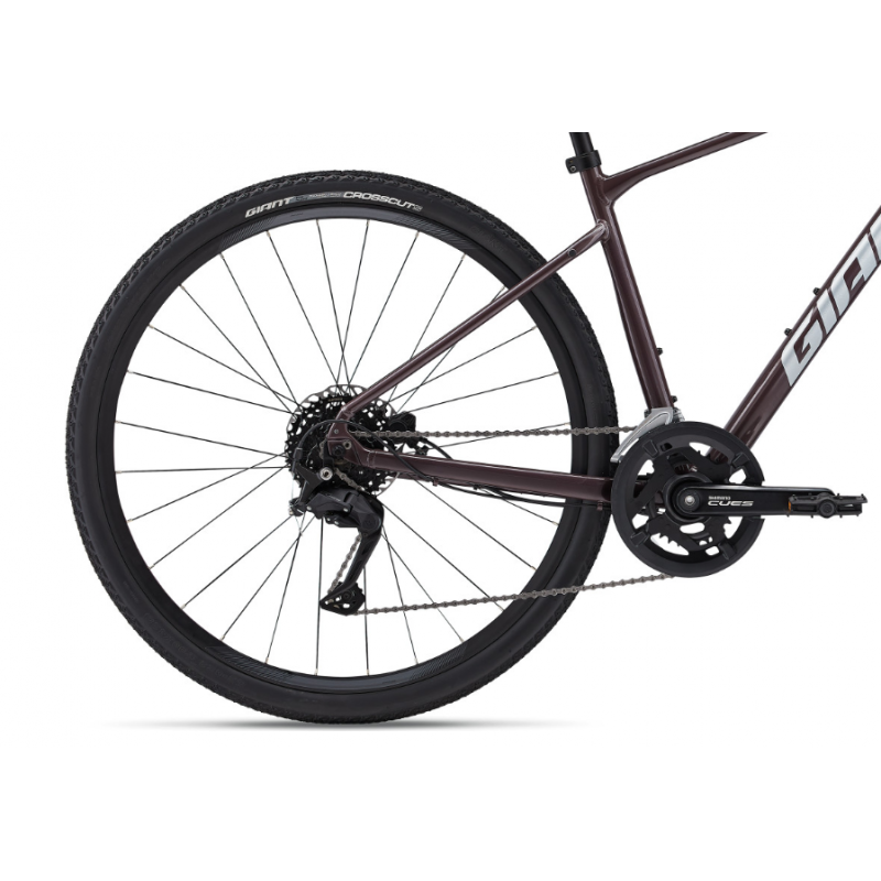 Giant Roam 2 Disc fioletowy 2024