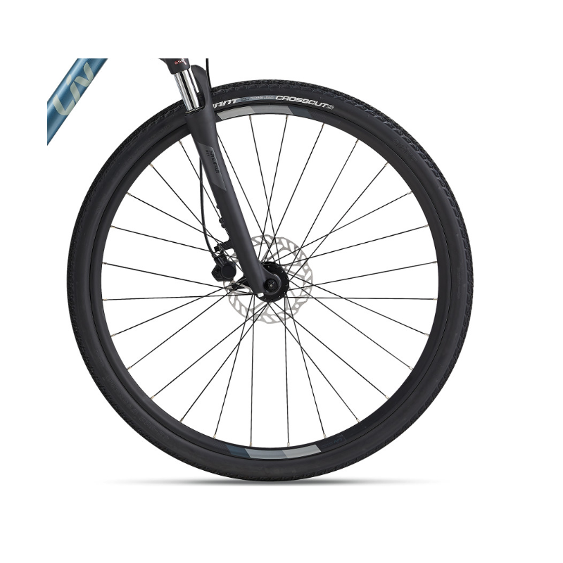 Giant Liv Rove 2 DD niebieski 2024