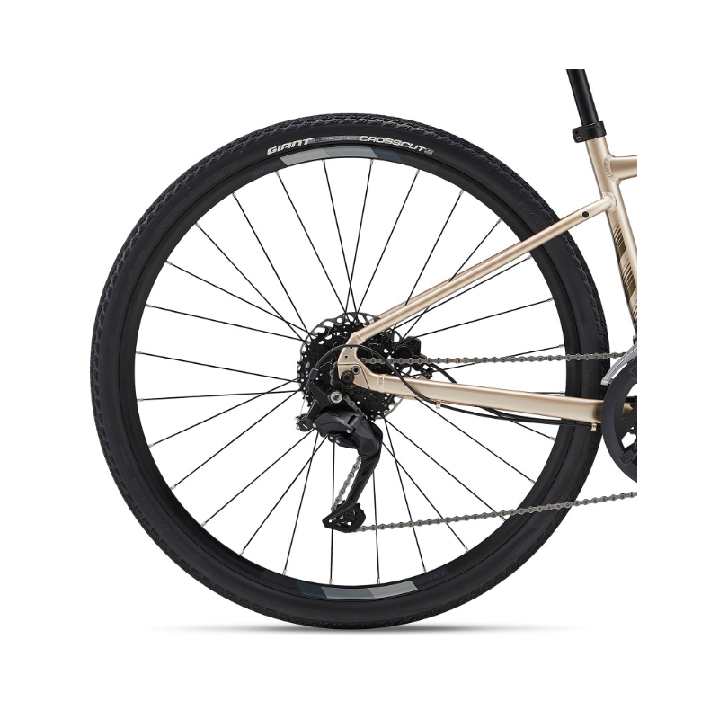 Giant Liv Rove 2 DD złoty 2024