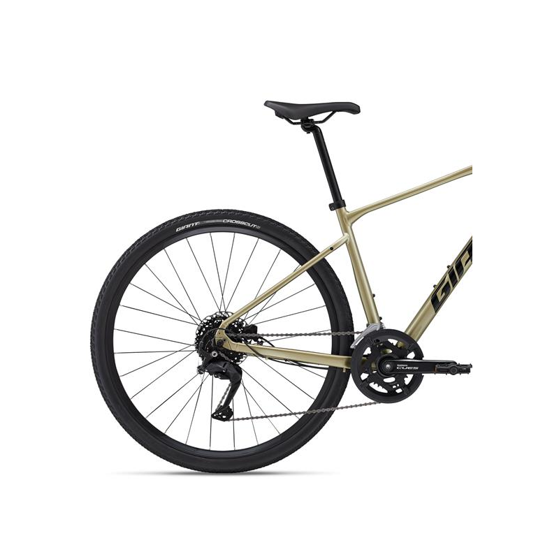 Giant Roam 2 Disc Bay Leaf 2024