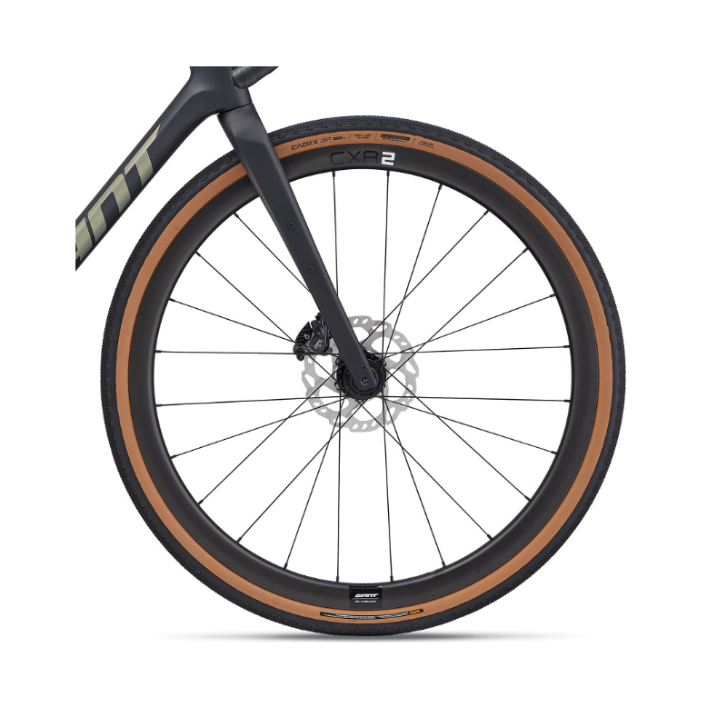 Giant Revolt Advanced 0 Carbon 2024
