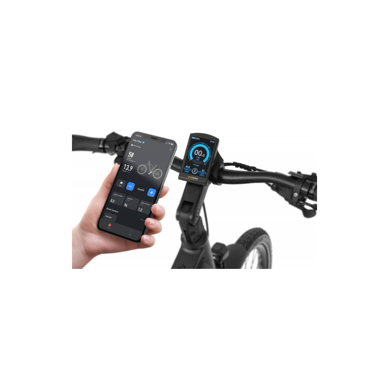 Rower elektryczny Ecobike LX 500 Grafitowy 48V 20Ah (960Wh) 2024