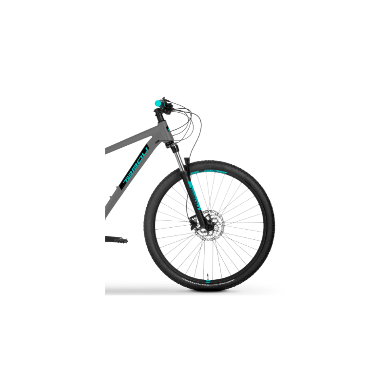 Rower MTB TABOU 29 BLADE 3.0 (18s ALTUS) steel / turquoise